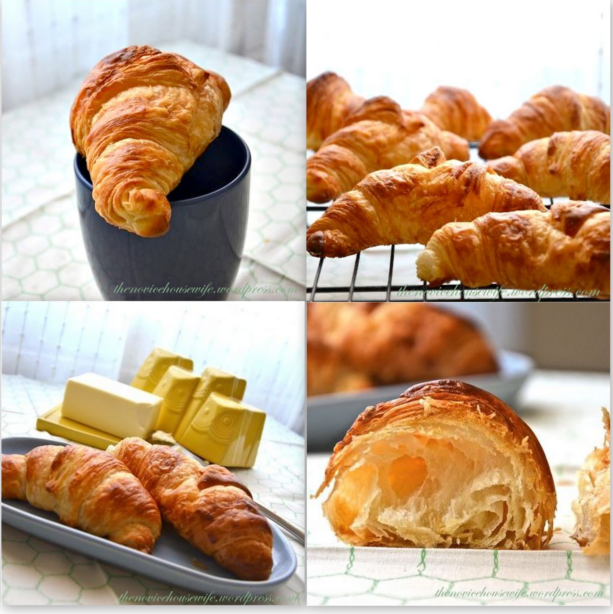 September Daring Bakers' Challenge: Croissants - The Novice Housewife